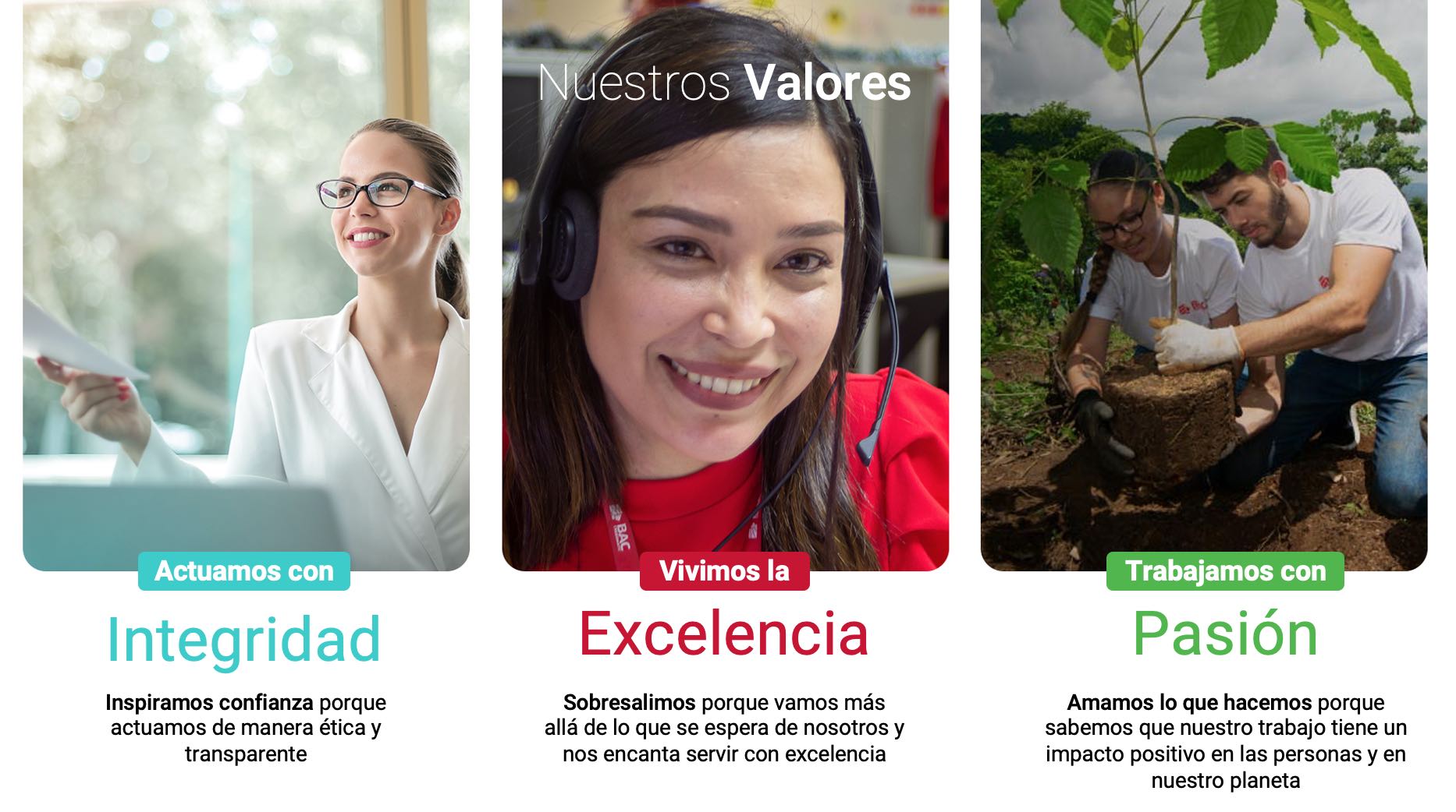 Investor Relations | BAC International Bank