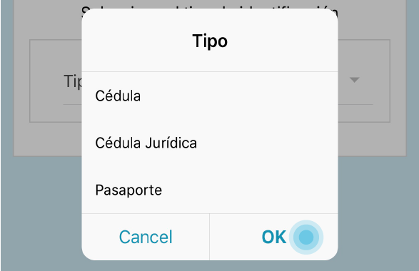 Tutoriales Pagos | BAC Credomatic