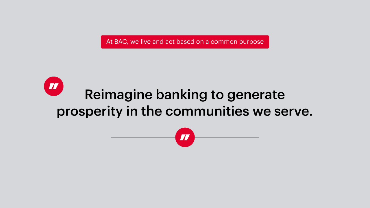 BAC Holding International Corp. | BAC